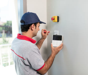 Join the Team at Beagle Watch | Beagle Watch