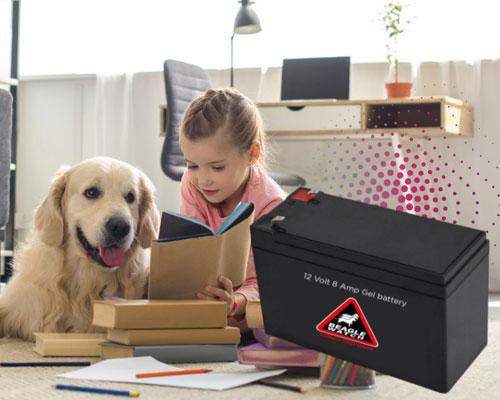 Current Offers & Campaigns | Beagle Watch