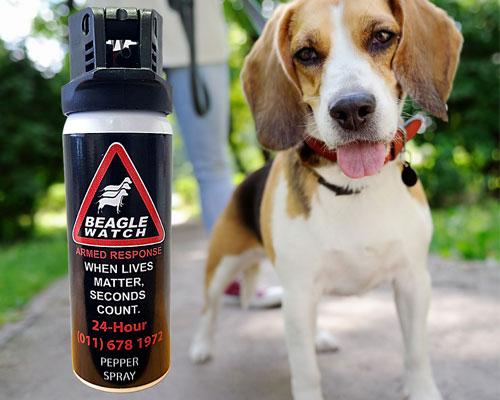 Current Offers & Campaigns | Beagle Watch