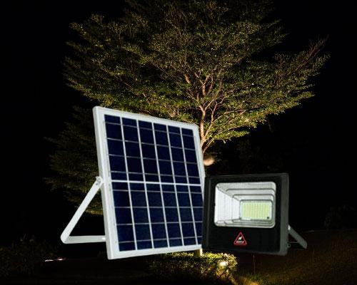 Current Offers & Campaigns | Beagle Watch